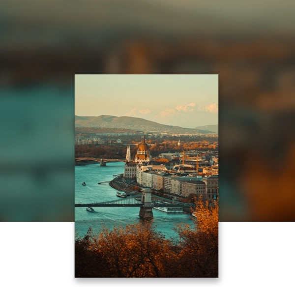 Wrapping Paper | Print Sign Design